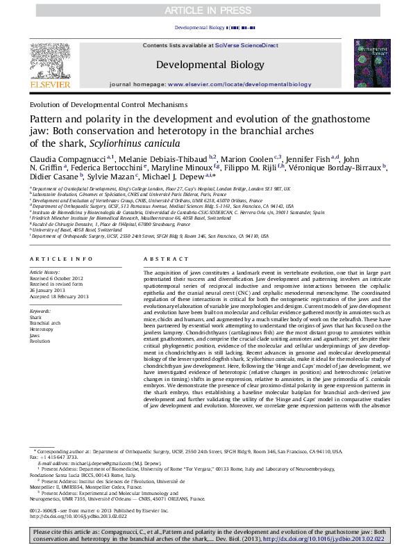 (PDF) Pattern and polarity in the development and evolution of the ...