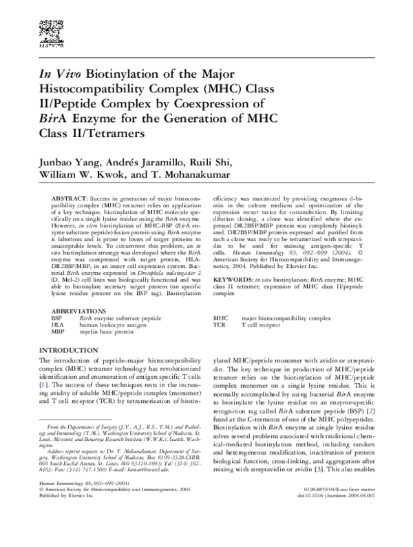 Pdf In Vivo Biotinylation Of The Major Histocompatibility Complex Mhc Class Iipeptide