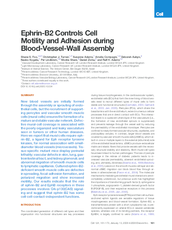(PDF) Ephrin-B2 Controls Cell Motility and Adhesion during Blood-Vessel ...
