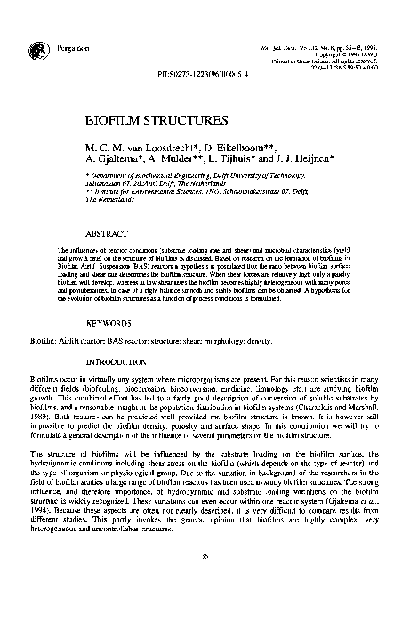 (PDF) Biofilm structures