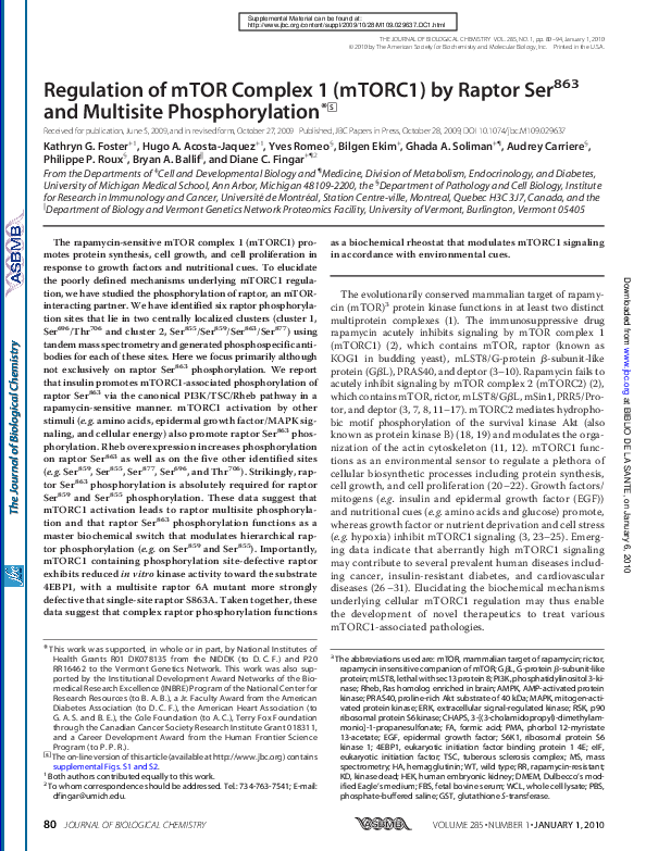 (PDF) Regulation of mTOR Complex 1 (mTORC1) by Raptor Ser863 and ...