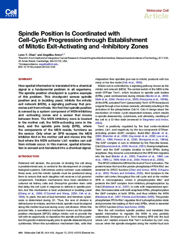 (PDF) Spindle Position Is Coordinated with Cell-Cycle Progression ...