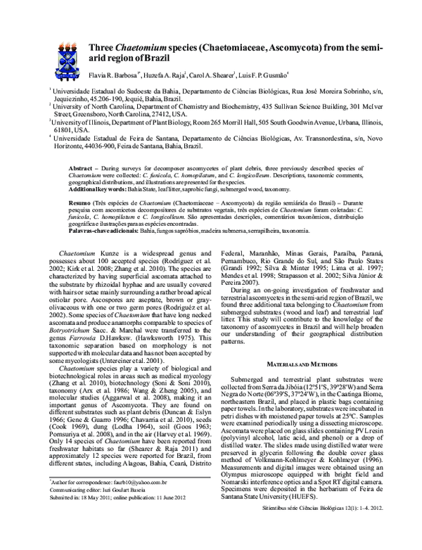 (PDF) Three Chaetomium species (Chaetomiaceae, Ascomycota) from the ...