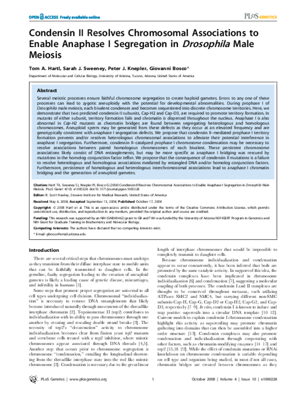 (PDF) Condensin II Resolves Chromosomal Associations to Enable Anaphase ...