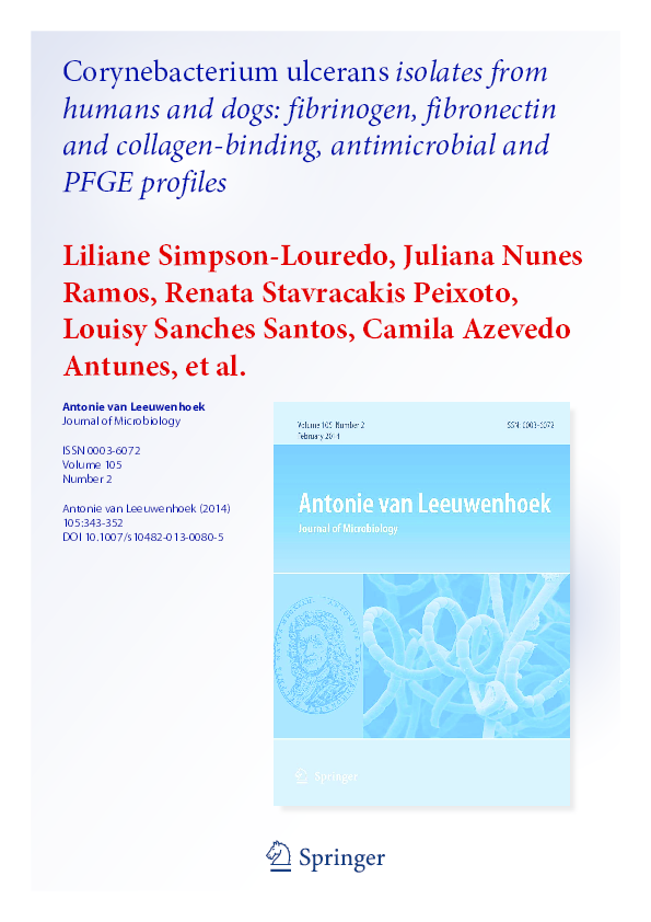 (PDF) Corynebacterium ulcerans isolates from humans and dogs ...