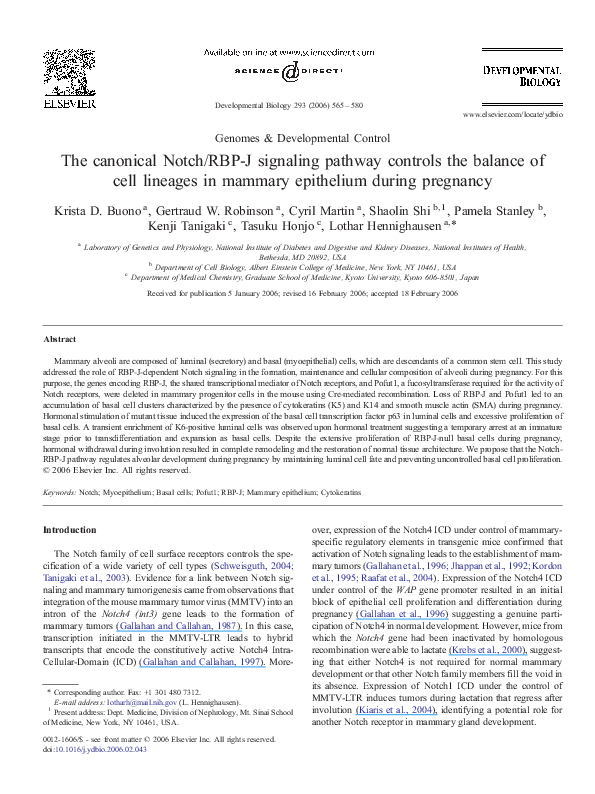 (PDF) The canonical Notch/RBP-J signaling pathway controls the balance ...
