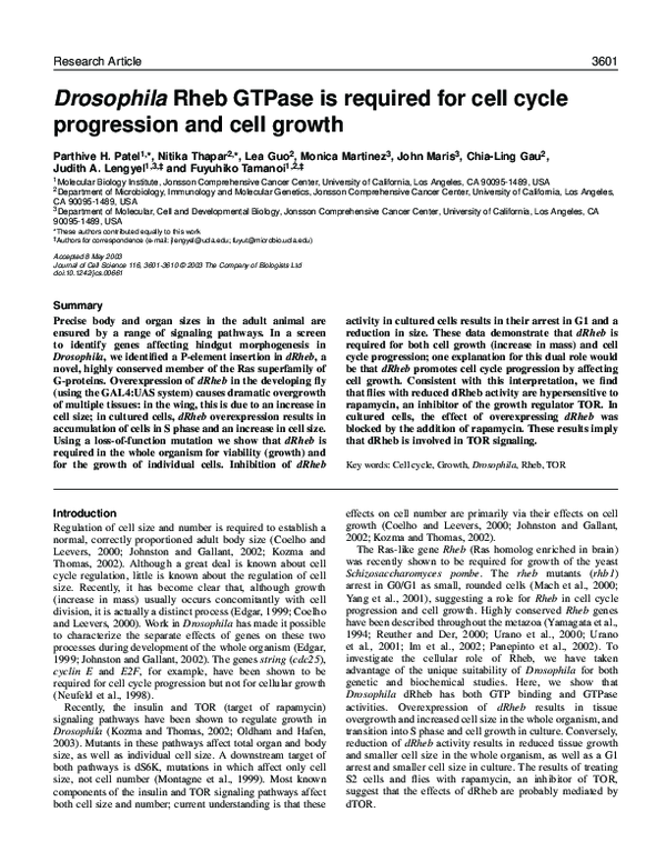 (PDF) Drosophila Rheb GTPase is required for cell cycle progression and ...