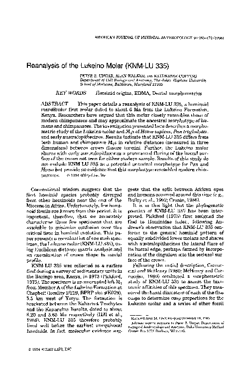 (PDF) Reanalysis of the Lukeino molar (KNM-LU 335)