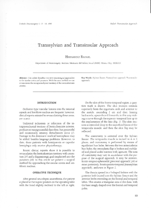 (PDF) Transsylvian and Transinsular Approach