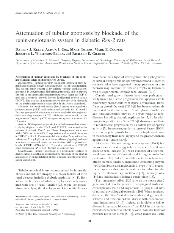 (PDF) Attenuation of tubular apoptosis by blockade of the renin ...