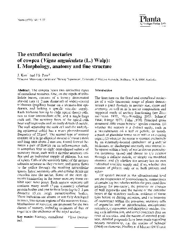 (PDF) The extrafloral nectaries of cowpea (Vigna unguiculata (L.) Walp ...