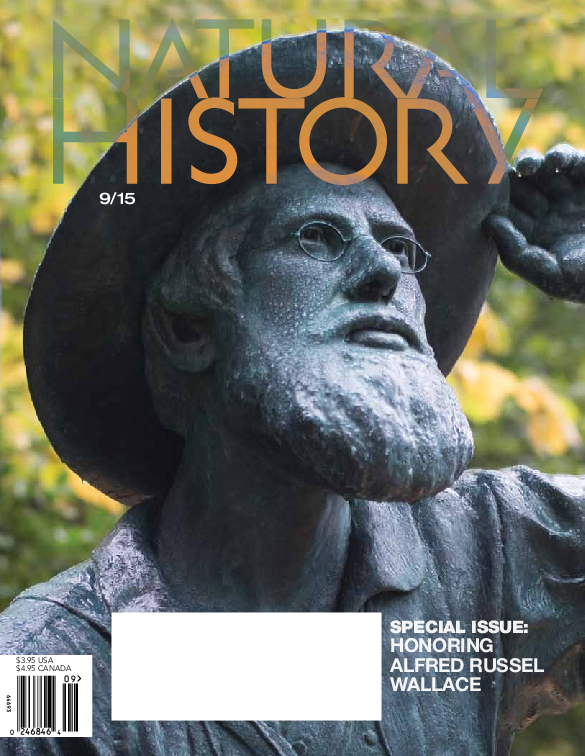 (PDF) Honoring Alfred russel WAllAce