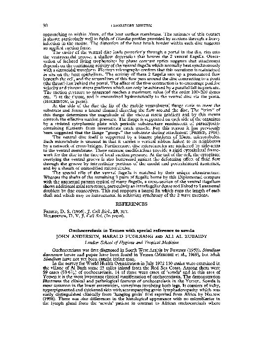 (PDF) Onchocerciasis in Yemen with special reference to sowda