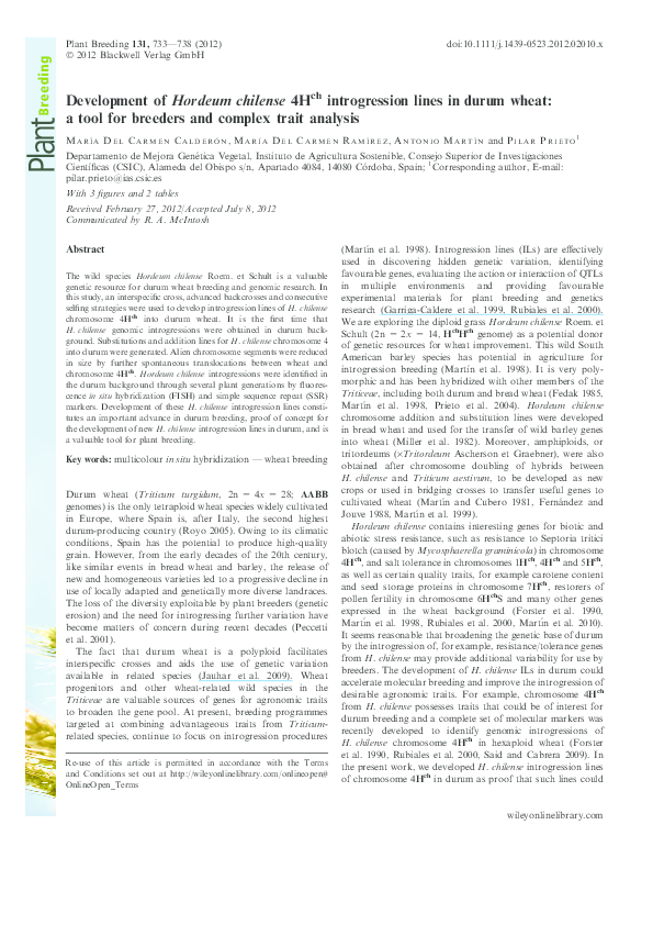 Development of Hordeum chilense 4 H ch introgression lines in durum ...