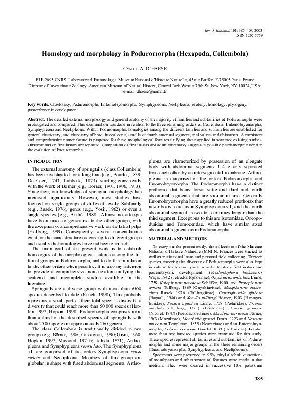 (PDF) Homology and morphology in Poduromorpha (Hexapoda, Collembola)