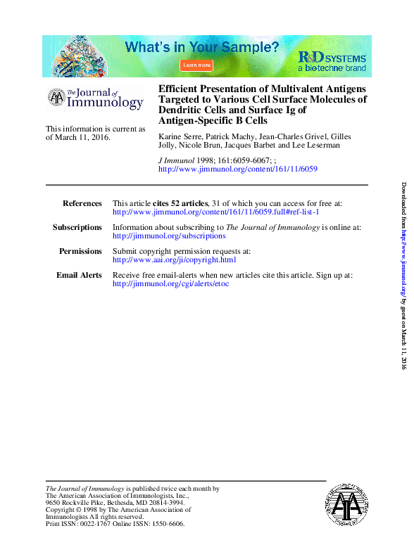 (PDF) Efficient Presentation of Multivalent Antigens Targeted to ...