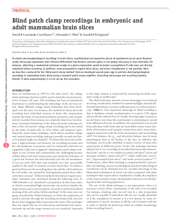 (PDF) Blind patch clamp recordings in embryonic and adult mammalian ...