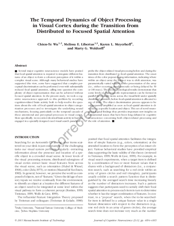 (PDF) The temporal dynamics of object processing in visual cortex during the transition from ...