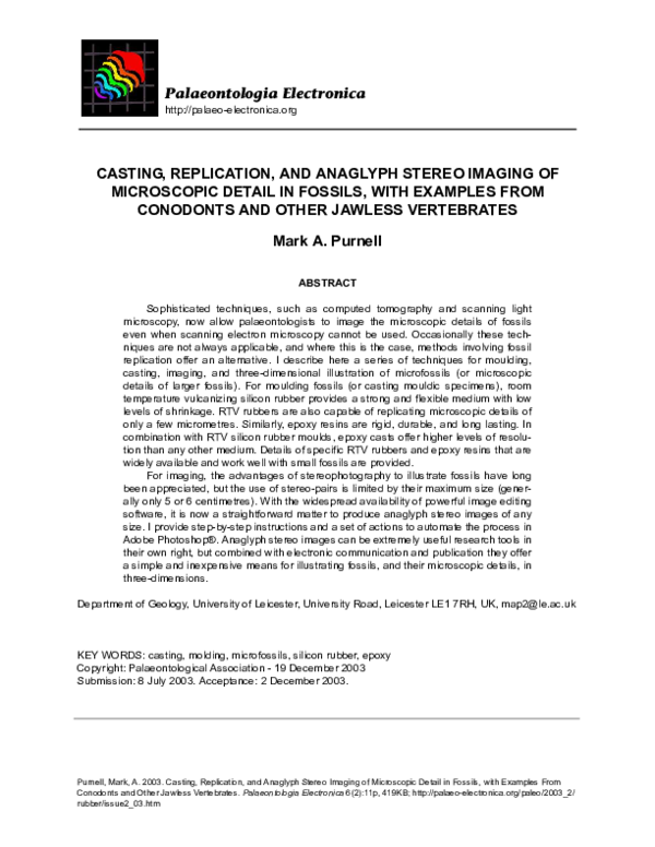 (PDF) Casting, replication, and anaglyph stereo imaging of microscopic ...