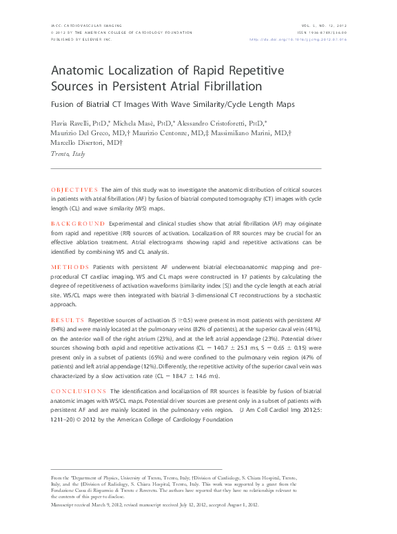 Anatomic Localization of Rapid Repetitive Sources in Persistent Atrial ...