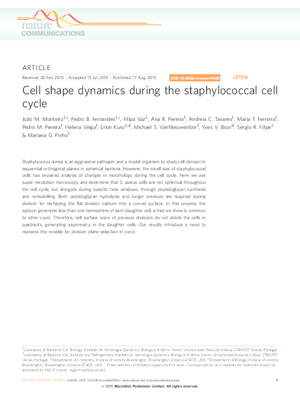 (PDF) Cell shape dynamics during the staphylococcal cell cycle