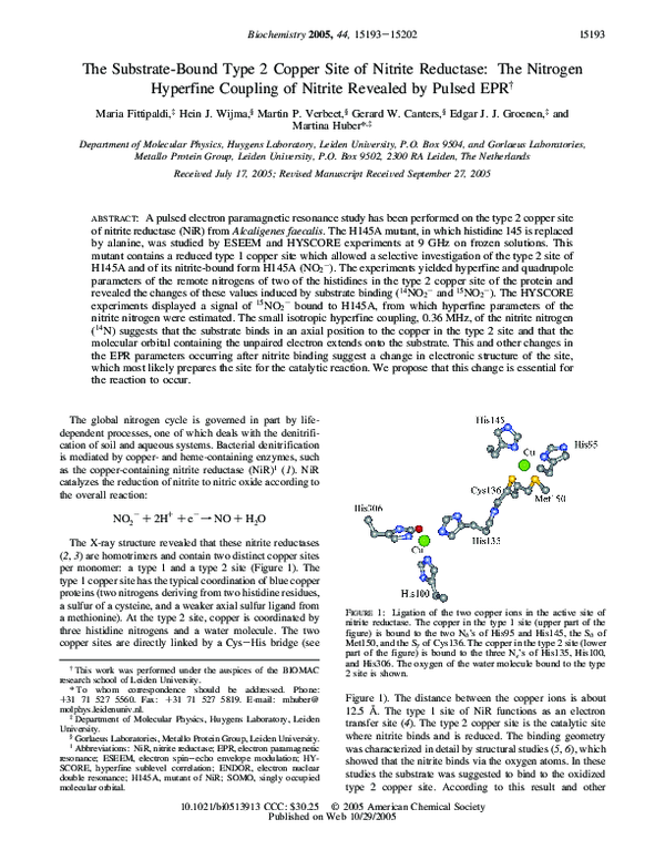 (PDF) The Substrate-Bound Type 2 Copper Site of Nitrite Reductase: The ...