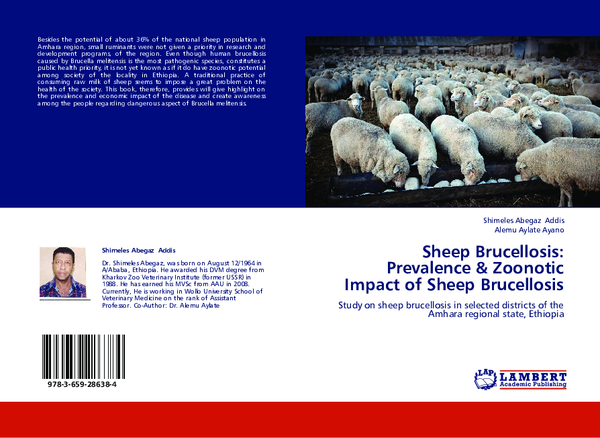Sheep Brucellosis