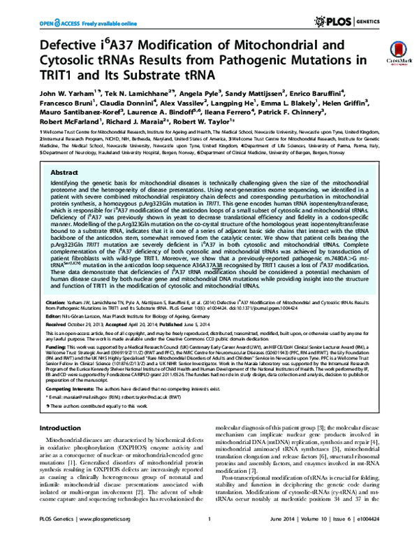 (PDF) Defective i6A37 Modification of Mitochondrial and Cytosolic tRNAs ...