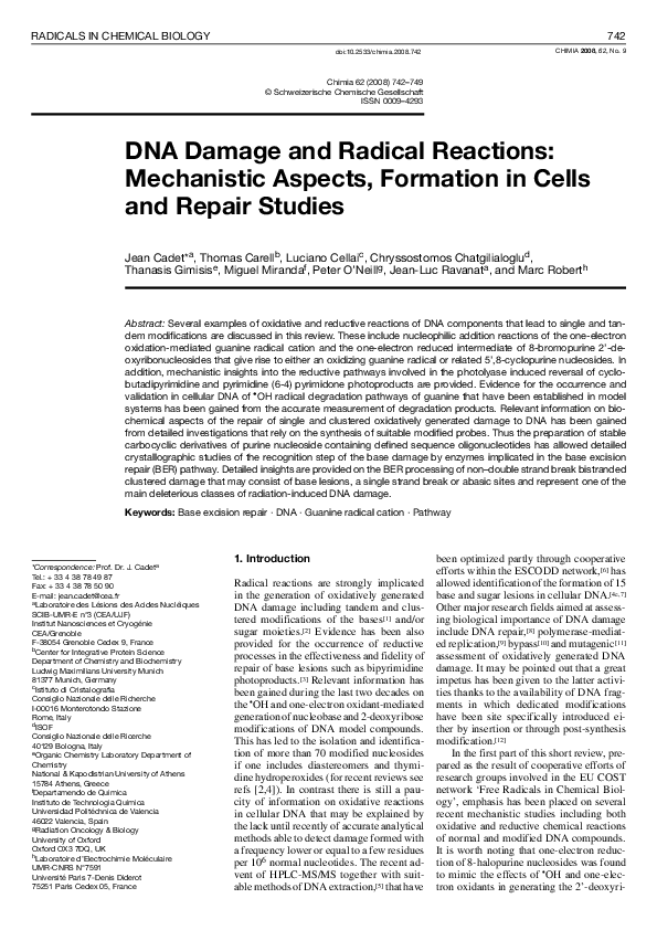 (PDF) DNA Damage and Radical Reactions: Mechanistic Aspects, Formation ...