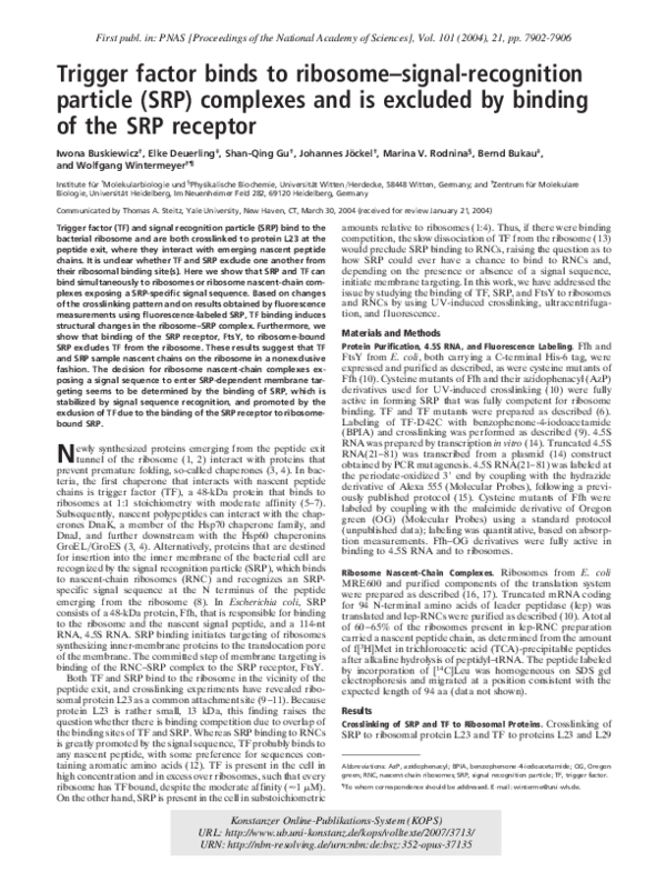 (PDF) Trigger factor binds to ribosome-signal-recognition particle (SRP ...