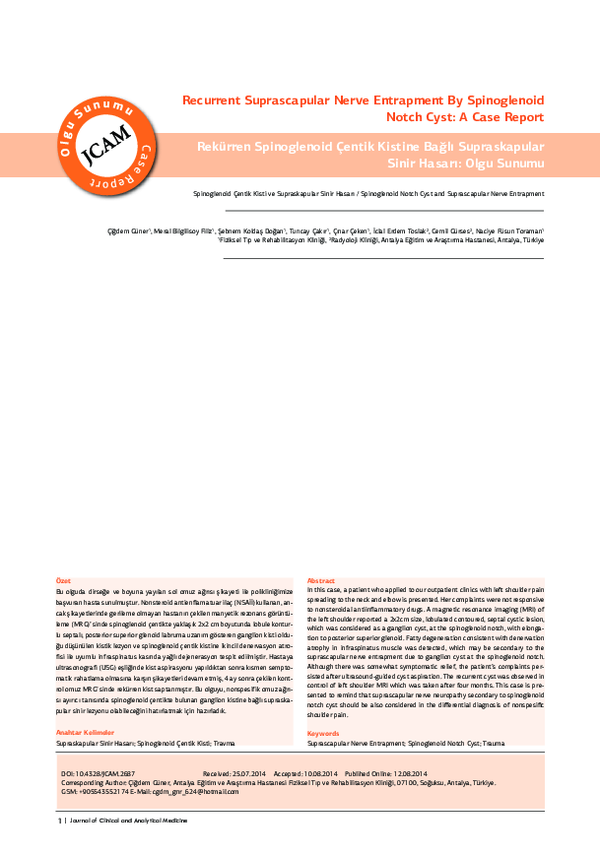 (PDF) Recurrent Suprascapular Nerve Entrapment By Spinoglenoid Notch ...