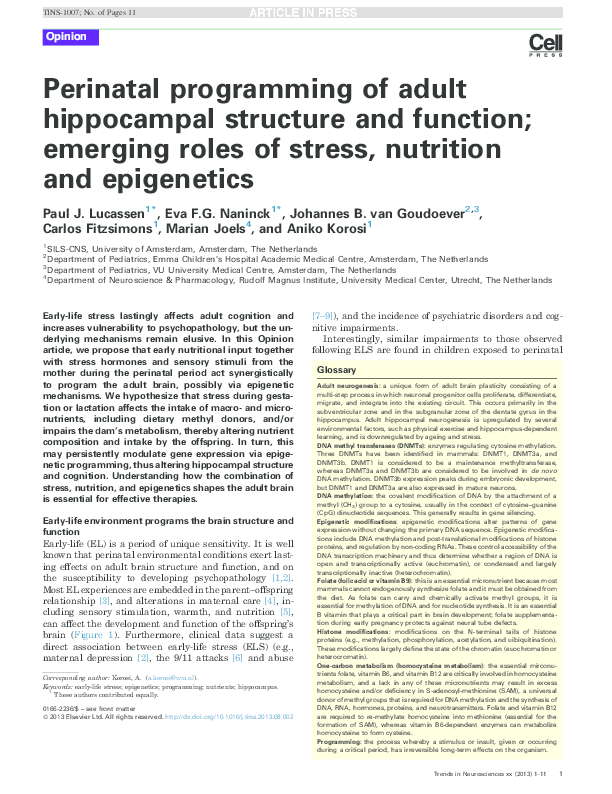(PDF) Perinatal programming of adult hippocampal structure and function ...