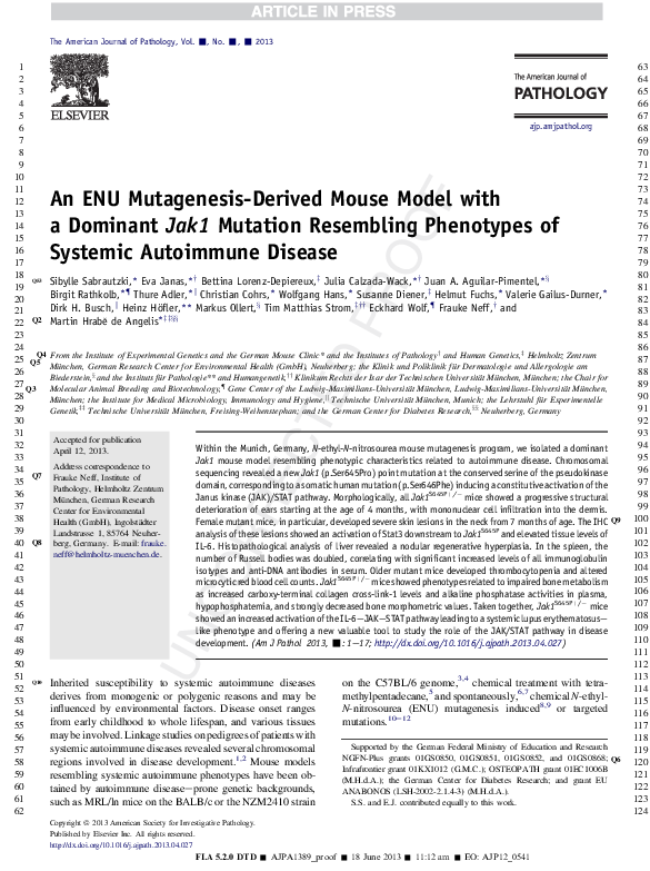 (PDF) An ENU Mutagenesis-Derived Mouse Model with a Dominant Jak1 ...