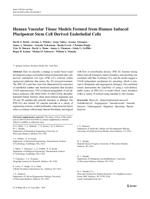 (PDF) Human Vascular Tissue Models Formed from Human Induced ...