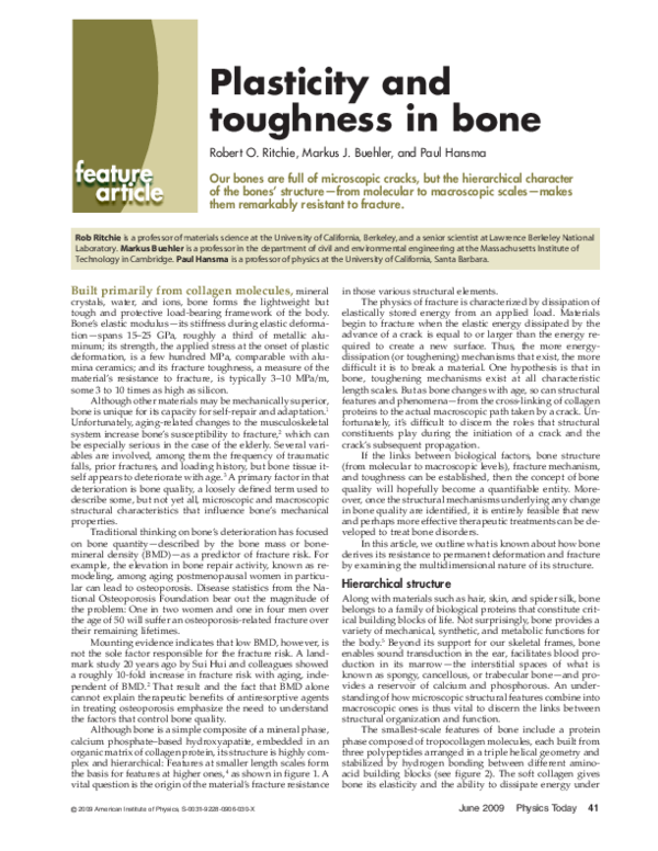 (PDF) Plasticity and toughness in bone