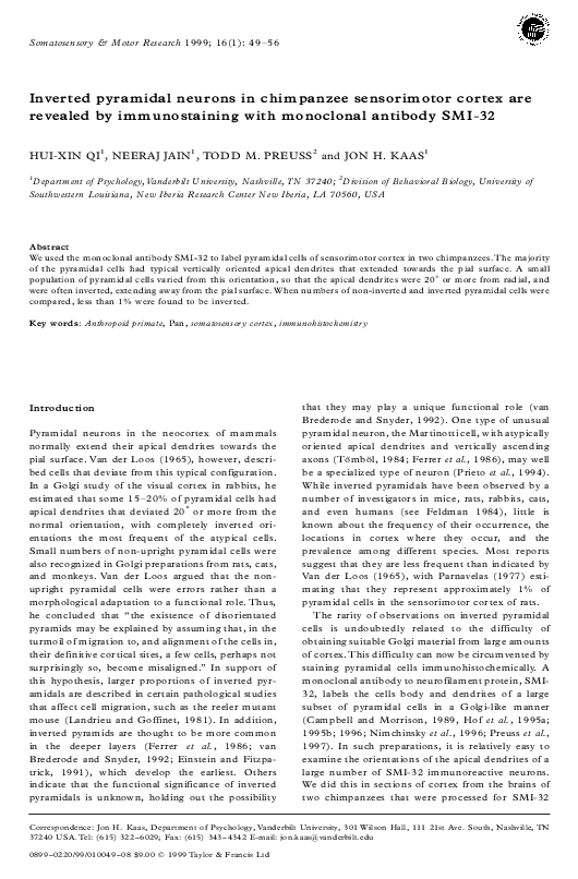 (PDF) Inverted pyramidal neurons in chim panzee sensorim otor cortex ...