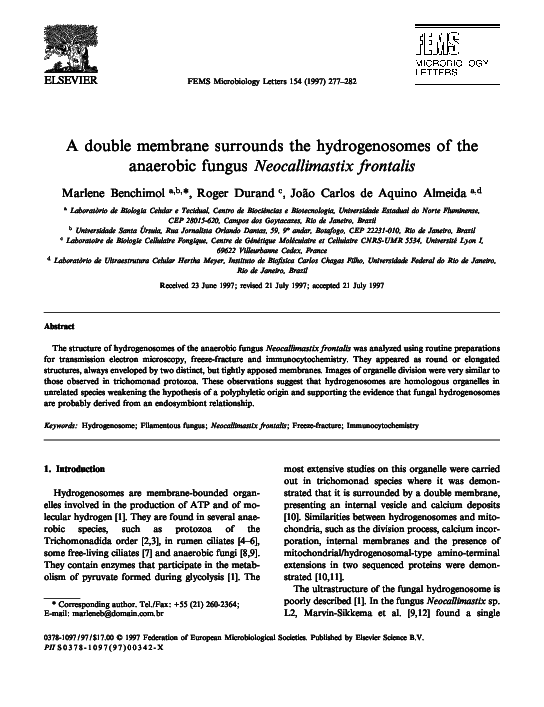 (PDF) A double membrane surrounds the hydrogenosomes of the anaerobic ...