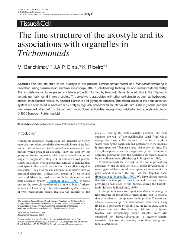(PDF) The fine structure of the axostyle and its associations with ...
