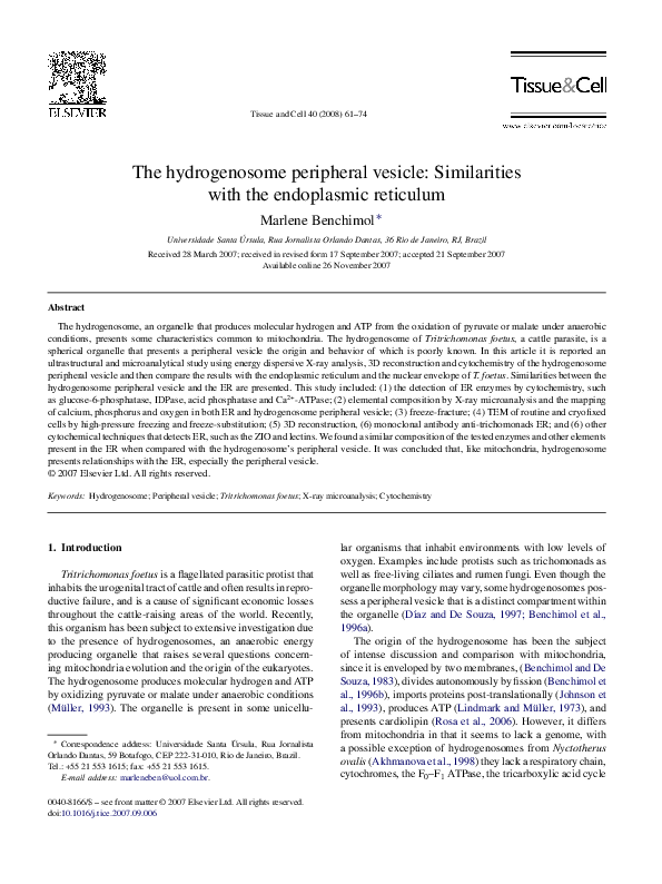 (PDF) The hydrogenosome peripheral vesicle: similarities with the ...