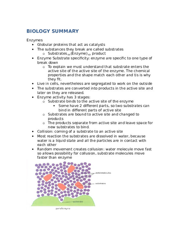 (DOC) BIOLOGY SUMMARY