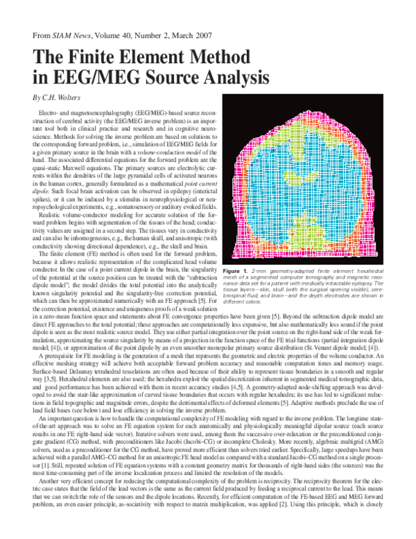 (PDF) The Finite Element Method in EEG/MEG Source Analysis