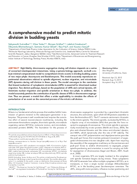Pdf A Comprehensive Model To Predict Mitotic Division In Budding Yeasts