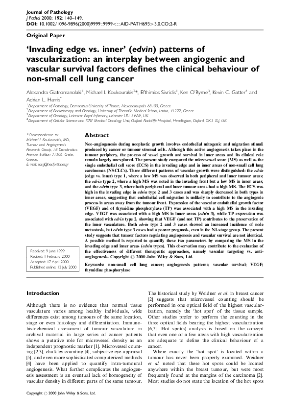 (PDF) ‘Invading edge vs. inner’ (edvin) patterns of vascularization: an ...