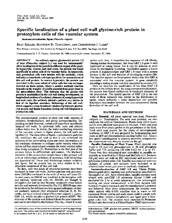 (PDF) Specific localization of a plant cell wall glycine-rich protein ...