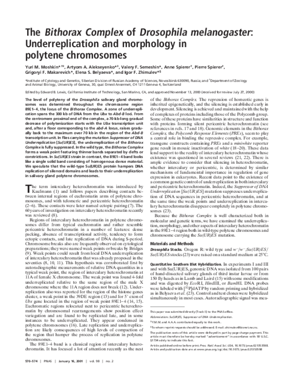 (PDF) The Bithorax Complex of Drosophila melanogaster: Underreplication ...