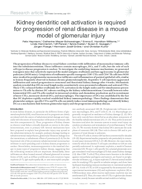 (PDF) Kidney dendritic cell activation is required for progression of ...