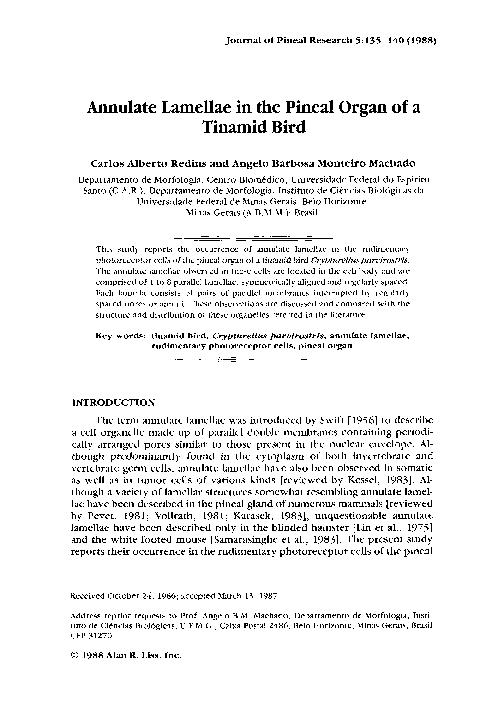 (PDF) Annulate Lamellae in the Pineal Organ of a Tinamid Bird