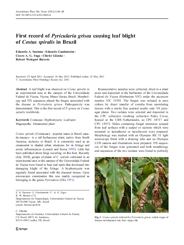 (PDF) First record of Pyricularia grisea causing leaf blight of Costus ...