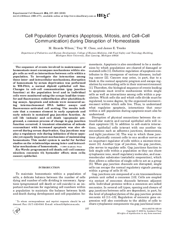 (PDF) Cell Population Dynamics (Apoptosis, Mitosis, and Cell–Cell ...