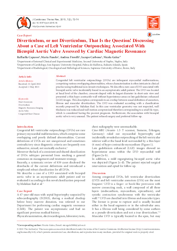 (PDF) Diverticulum, or not Diverticulum, That Is the Question ...